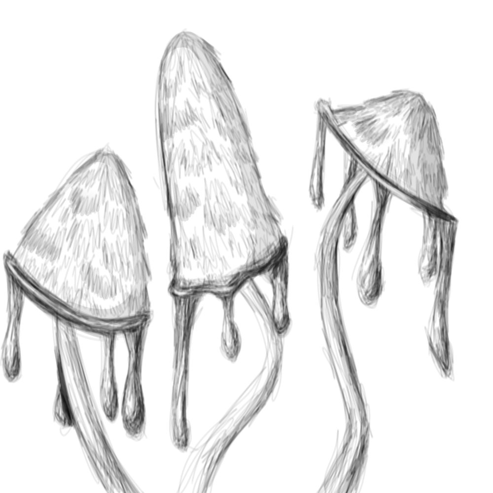 Shaggy ink caps - ibisPaint
