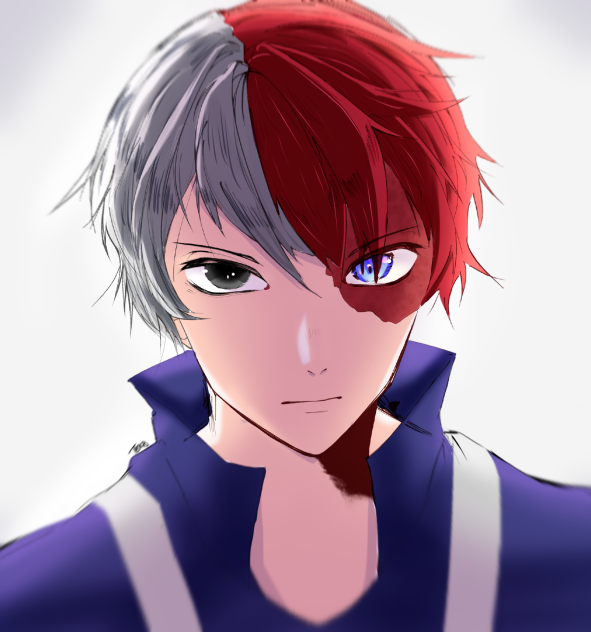 Todoroki - ibisPaint