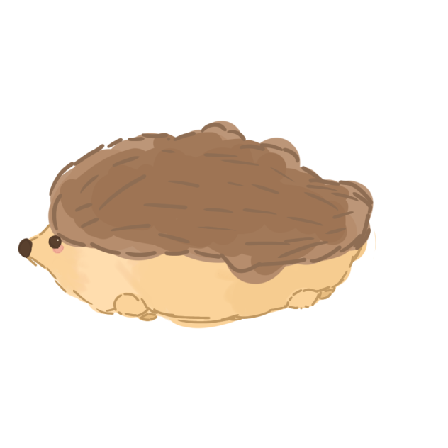 cute hedgehog - ibisPaint