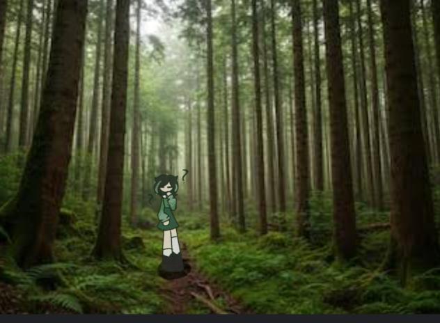 𝚏𝚘𝚛𝚎𝚜𝚝 🍀 - ibisPaint