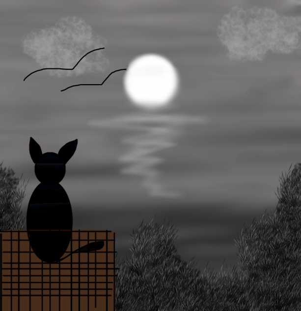 A Cloudy Night Day - ibisPaint