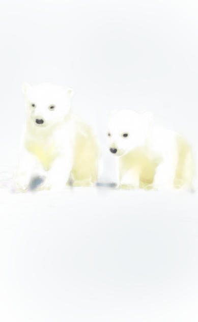 polar bears - ibisPaint