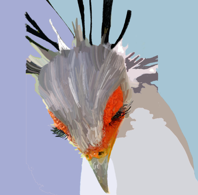 Pretty Bird.2023.01.31-13.06 - ibisPaint