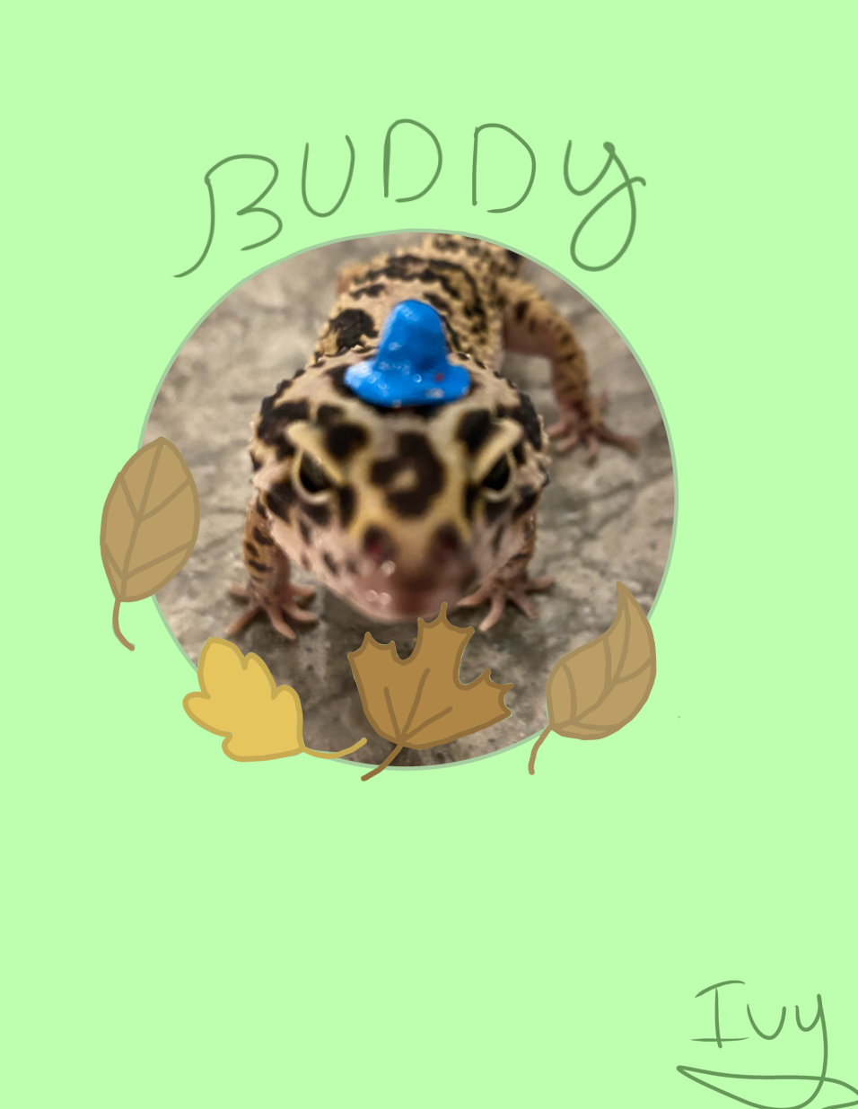 Buddy - ibisPaint