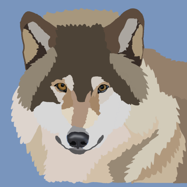 wolf traced - ibisPaint