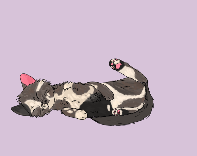 Cute little kitten sleeping - ibisPaint
