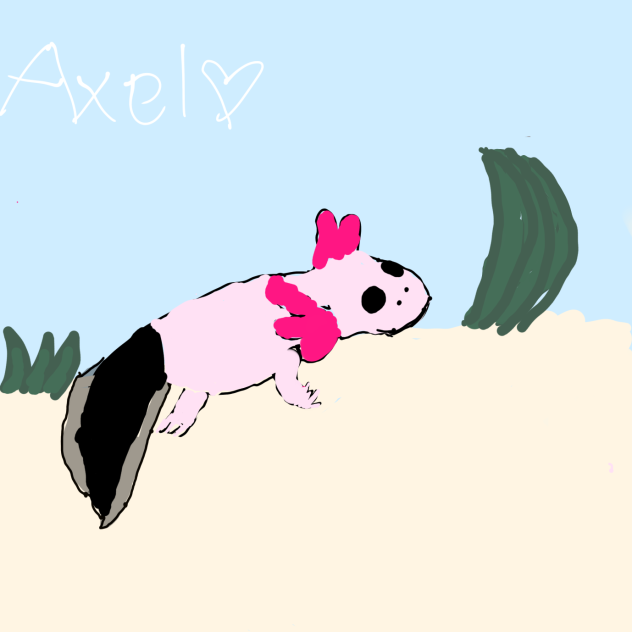 Firefly axolotl - ibisPaint