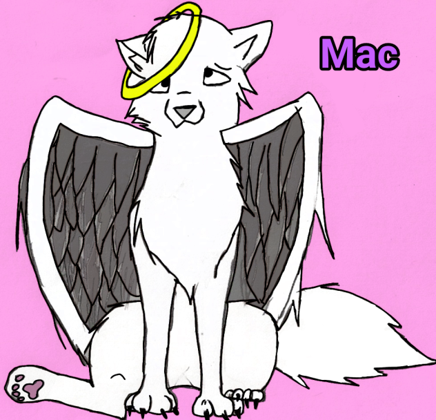 Mac the angel wolf - ibisPaint