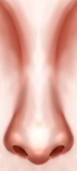 Painting a nose 👃(updated) - ibisPaint