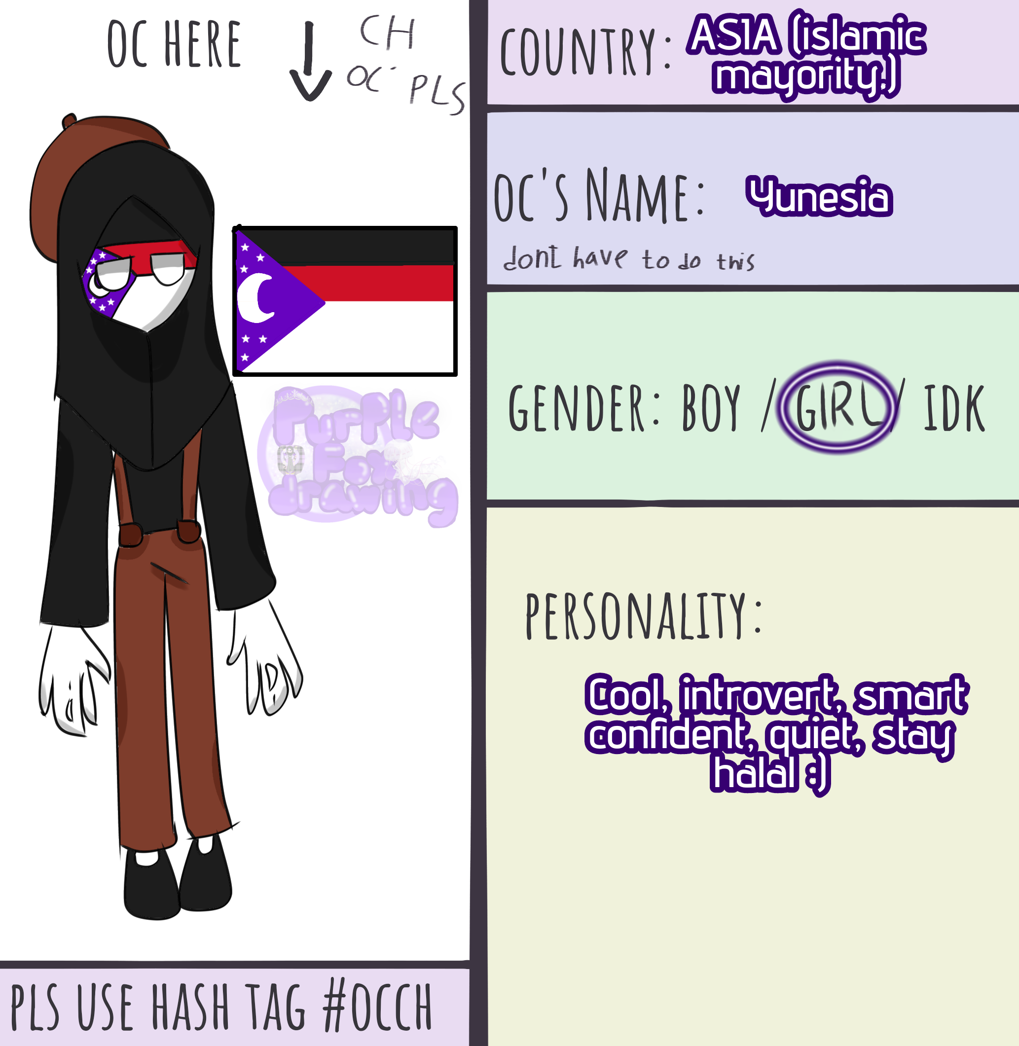 new oc country human - ibisPaint