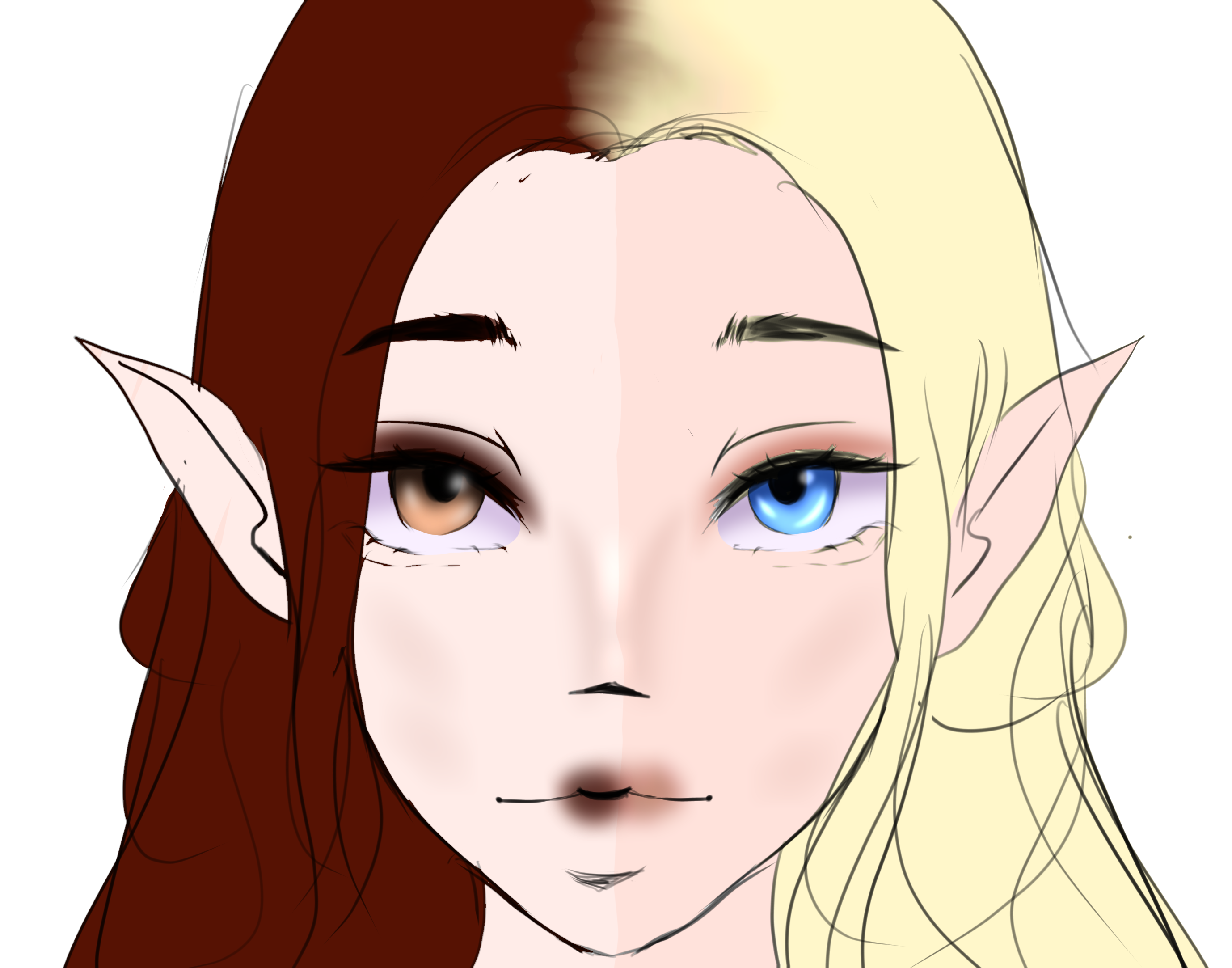 half and half - ibisPaint