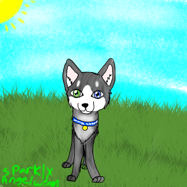 husky - ibisPaint