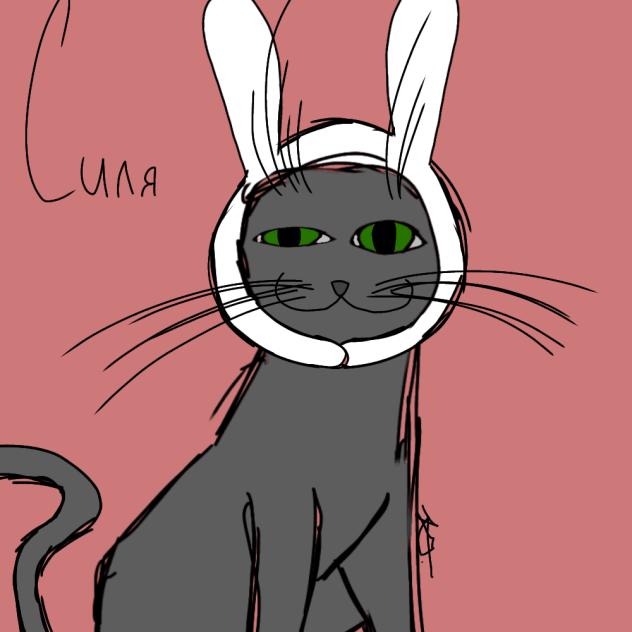 My silly cat - ibisPaint