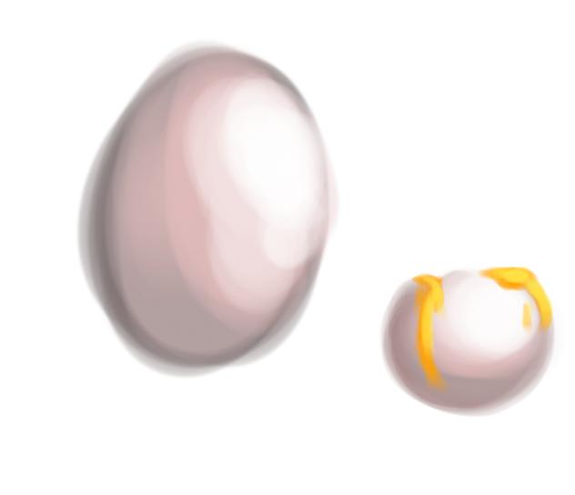 egg - ibisPaint