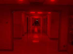 backroom level run - ibisPaint