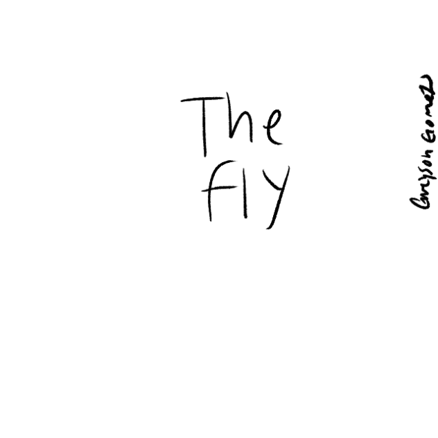 The Fly - ibisPaint