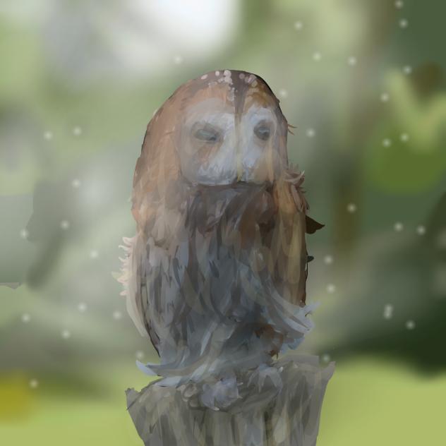 tawny🦉owl🌙 - ibisPaint