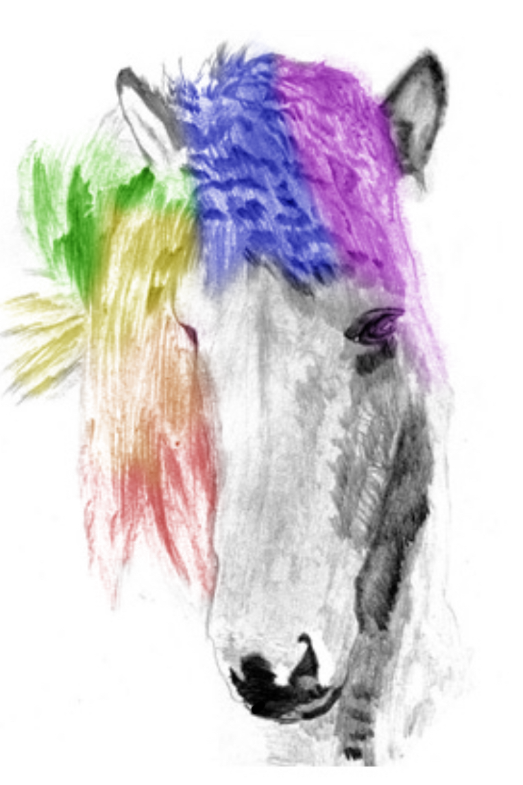 Rainbow Hair Horse - ibisPaint