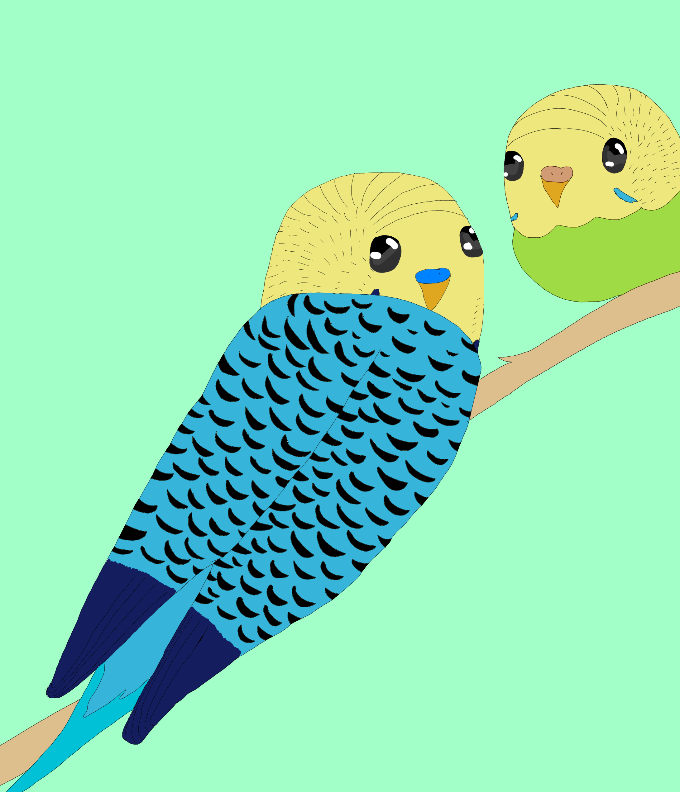 Two of my birds - ibisPaint