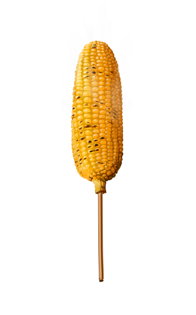 grilled corn 2 - ibisPaint