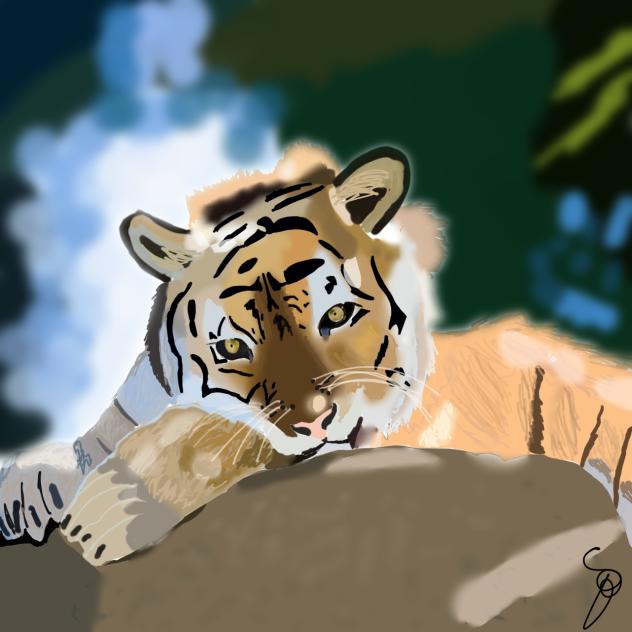 Tiger - ibisPaint