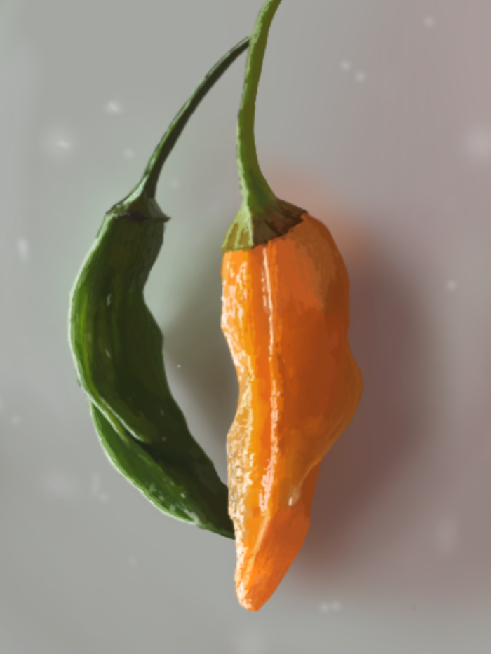 Peppers - ibisPaint