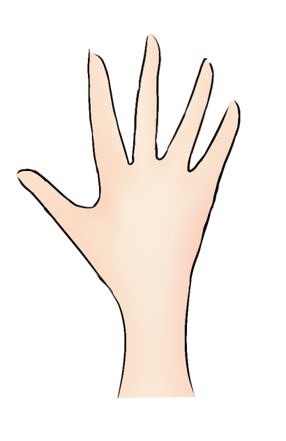 Practice like this and u can draw hands - ibisPaint