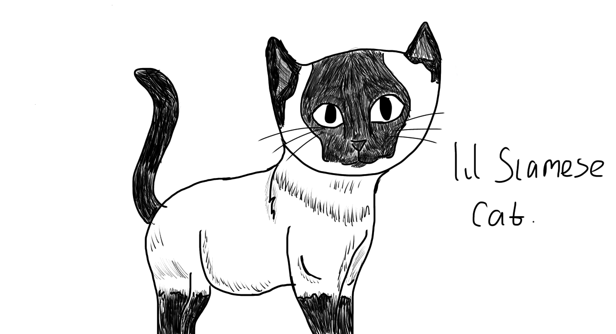 Lil siamese cat - ibisPaint