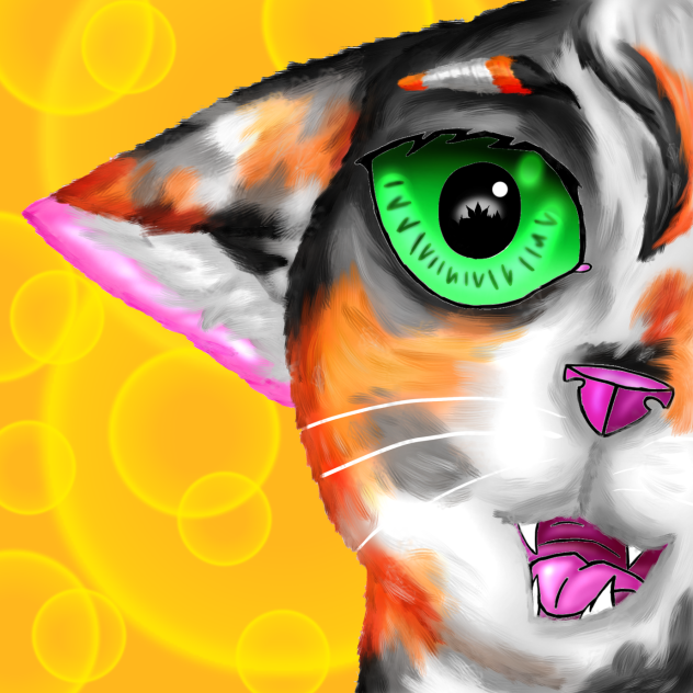 Handsome calico - ibisPaint
