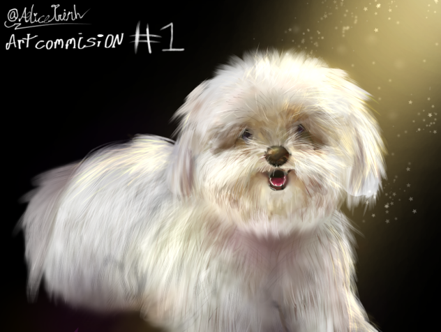 Commission #1 - ibisPaint