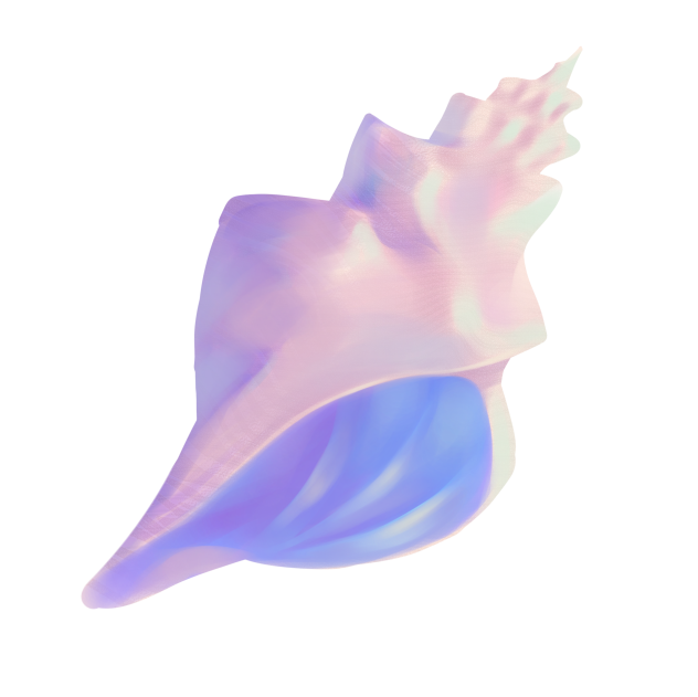 Seashell 1 - ibisPaint