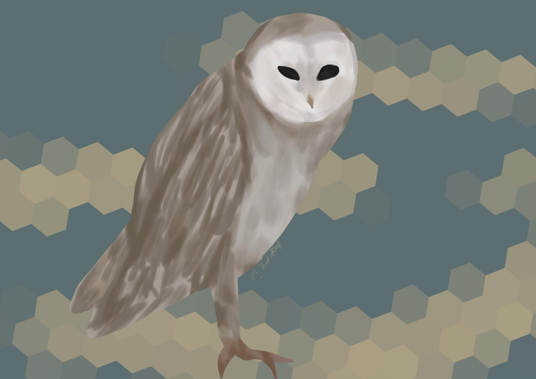 ^ Barn Owl ^ - ibisPaint