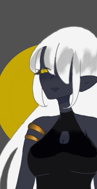 Dark elf - ibisPaint