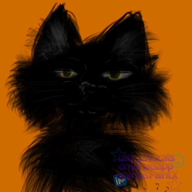 Black cat (realism) - ibisPaint