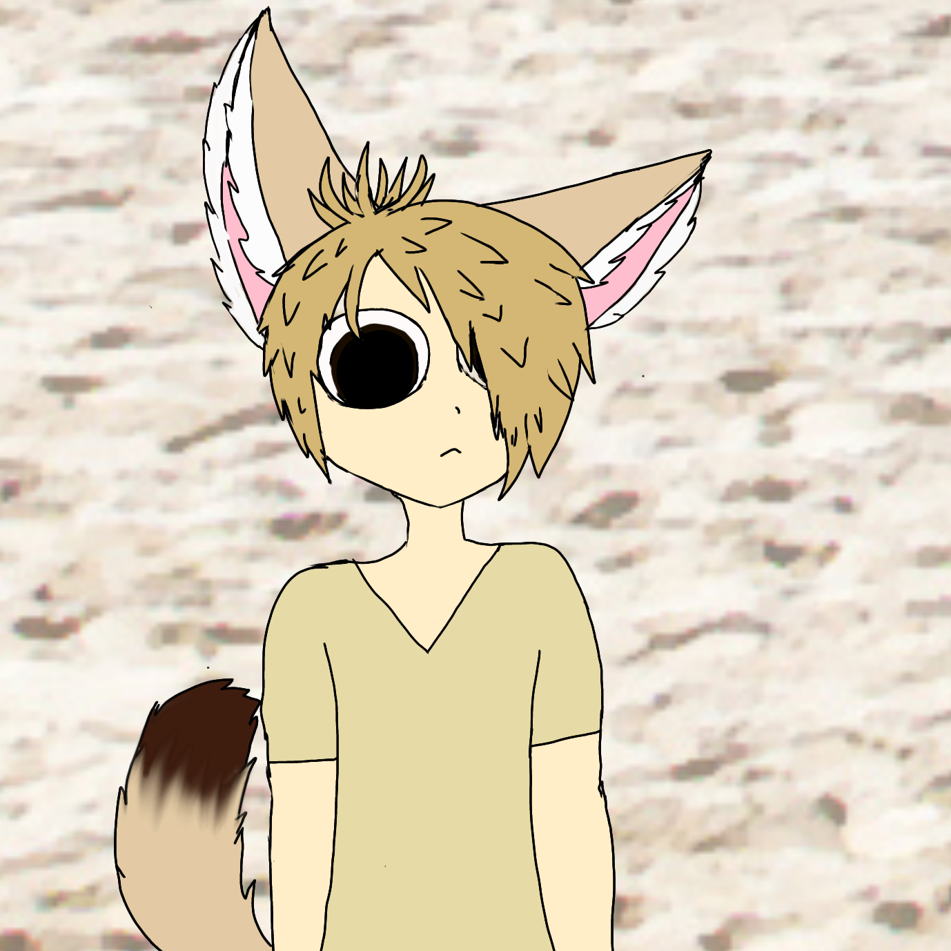fennec boy - ibisPaint