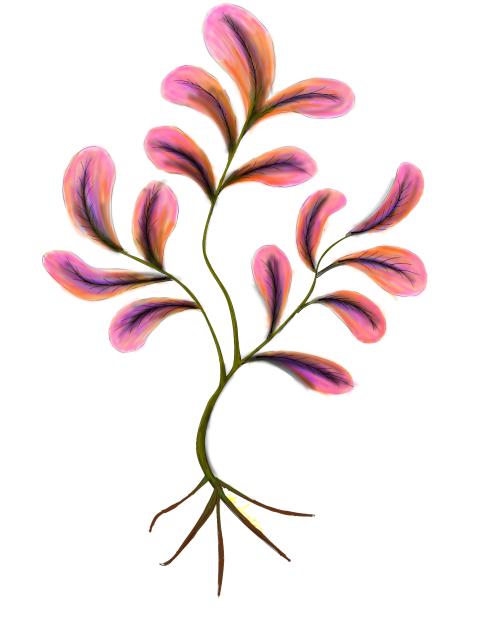Small plant LS3 - ibisPaint
