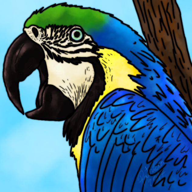 Arara - ibisPaint