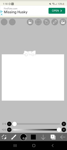 Collab with Shiro - ibisPaint