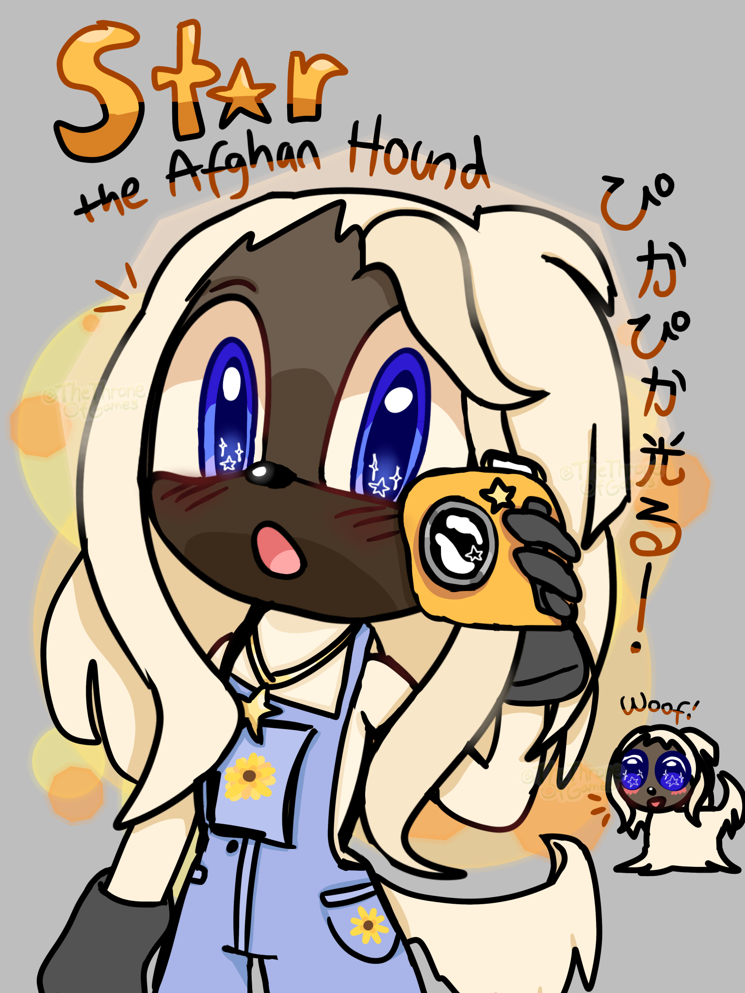 Star the Afghan Hound! Sonic OC! - ibisPaint