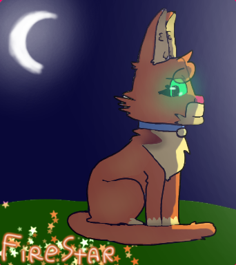FireStar🔥⭐ - ibisPaint