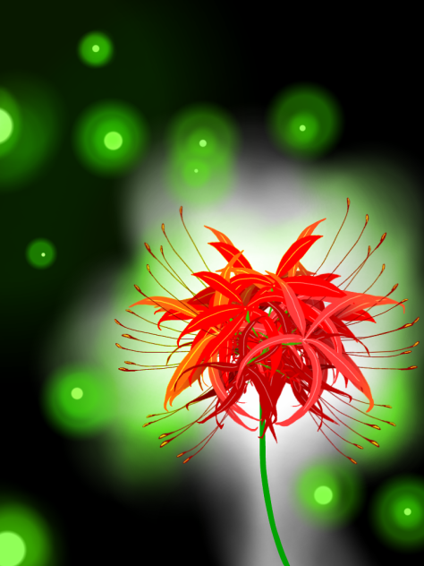 Lycoris - ibisPaint