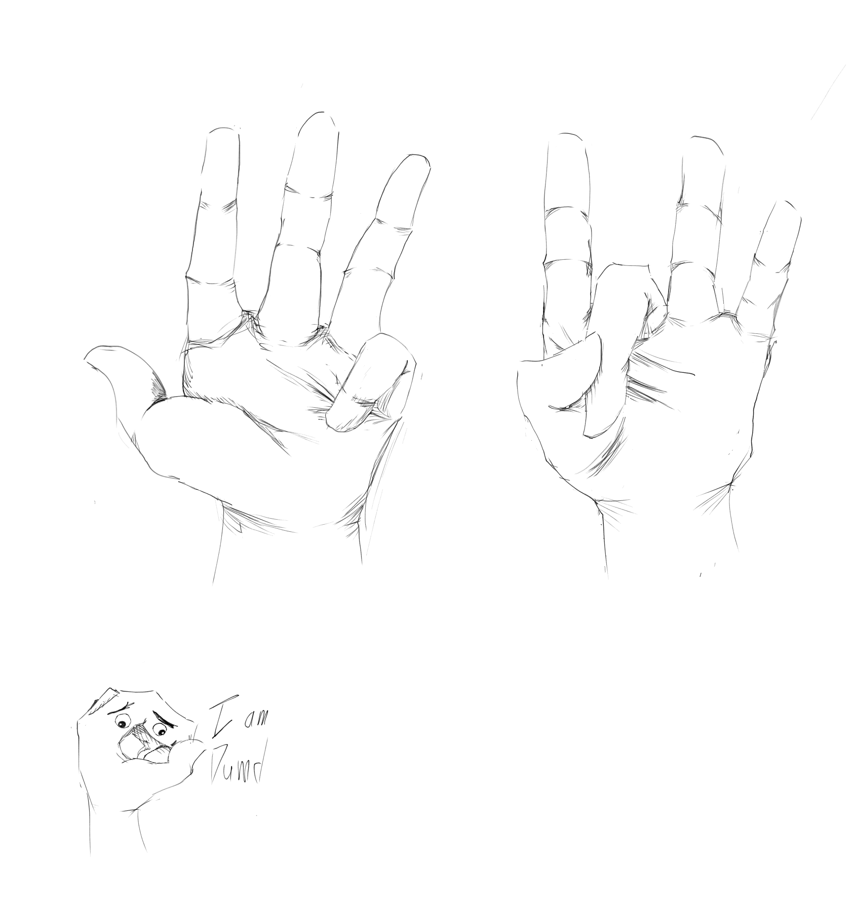 Hands practice - ibisPaint