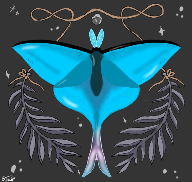 Lunar moth - ibisPaint