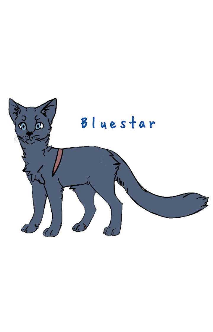Bluestar - Warrior Cats - ibisPaint