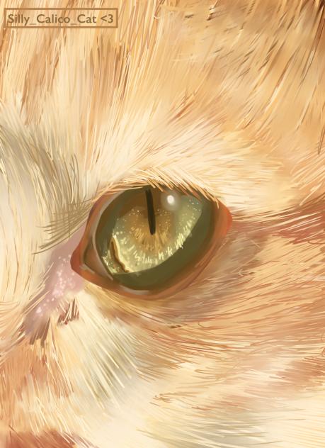 eye-see-you - ibisPaint