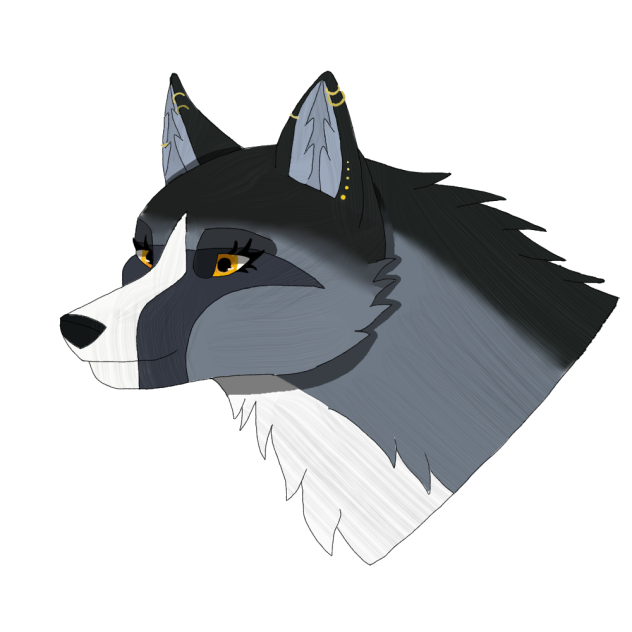 Wolf - ibisPaint