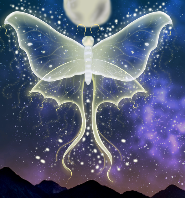 Butterfly in the night 🌌 - ibisPaint