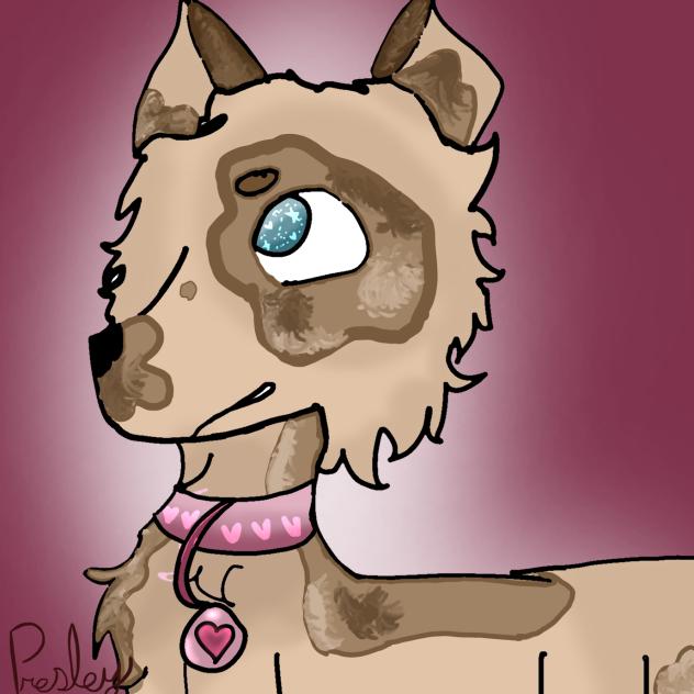 Mutt - ibisPaint