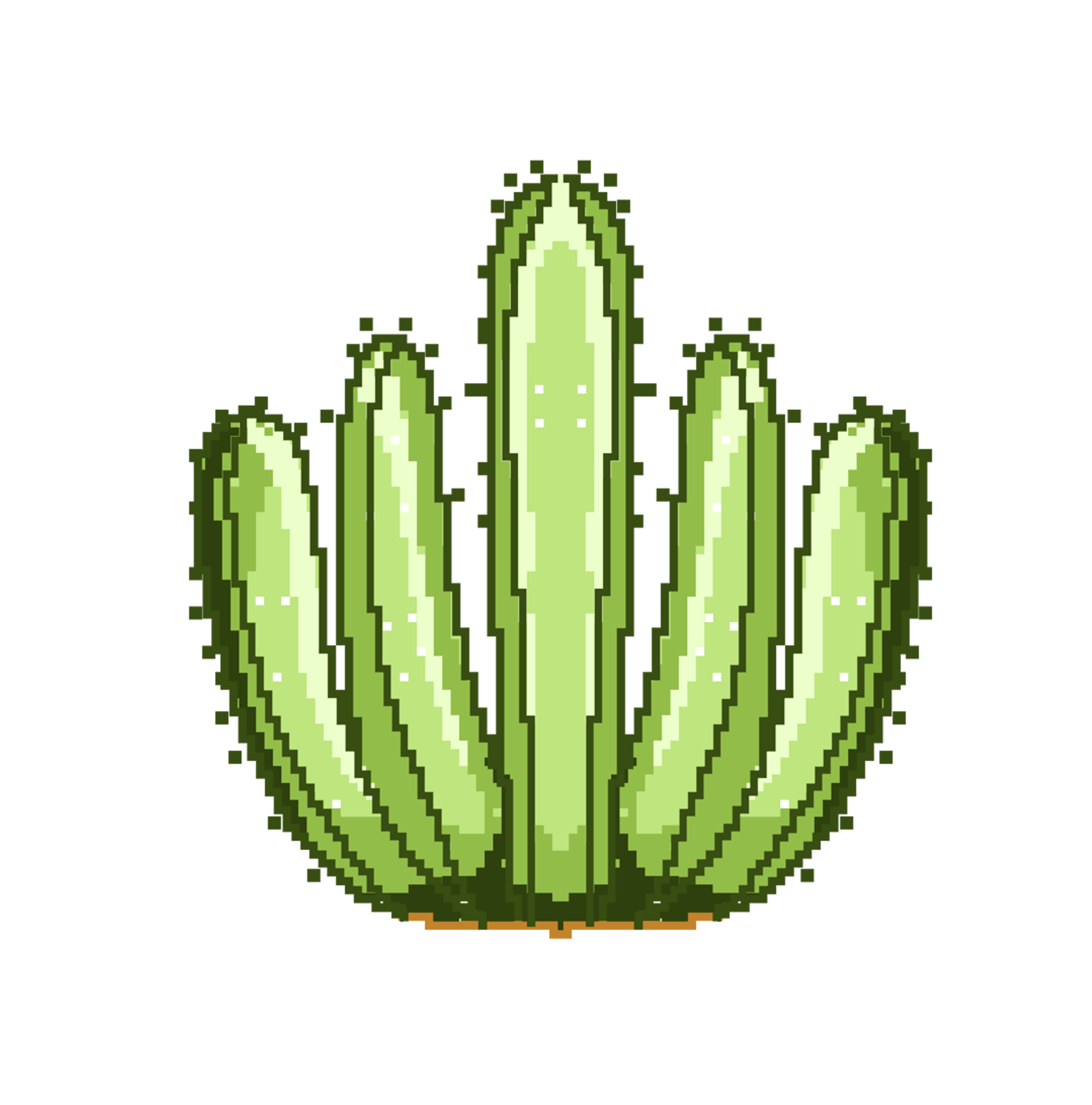 Cactus pixel - ibisPaint