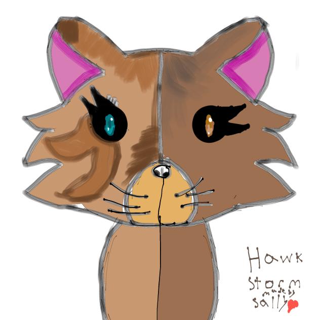 hawkstorm - ibisPaint